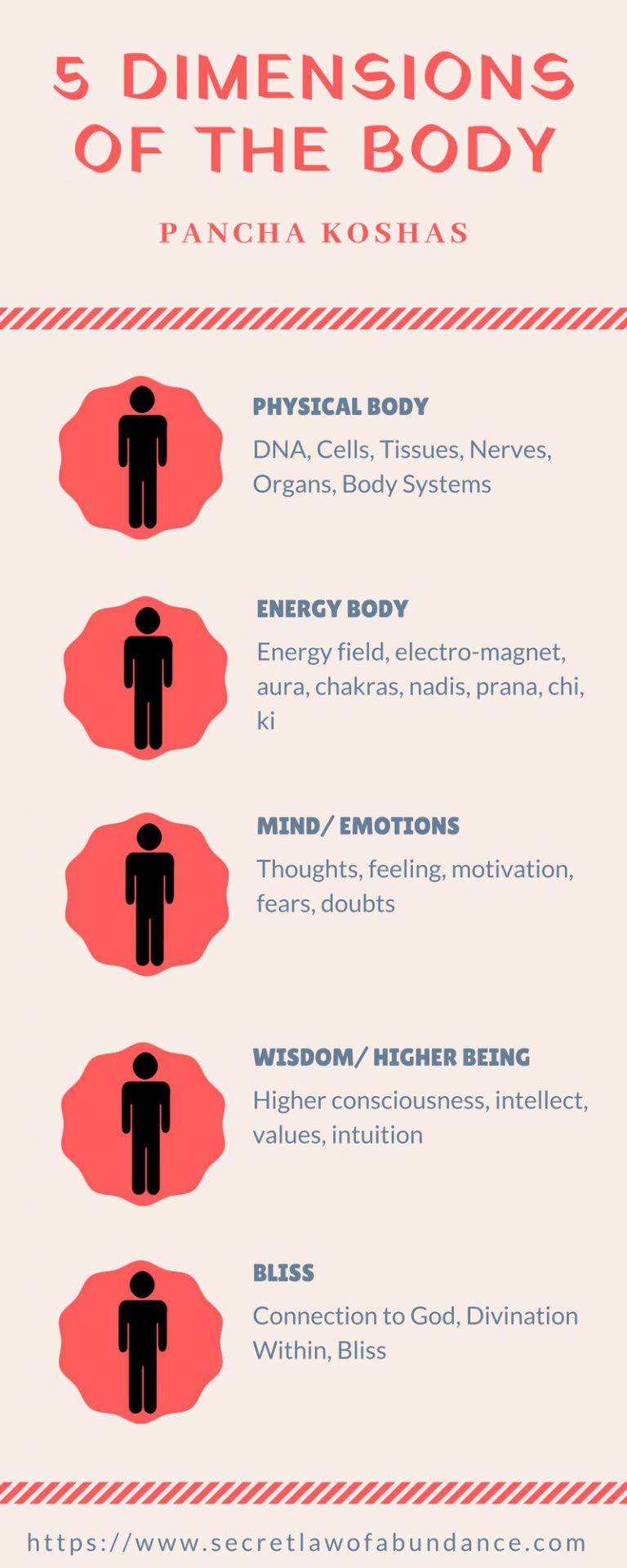 5 dimensions of the body | MindConnects