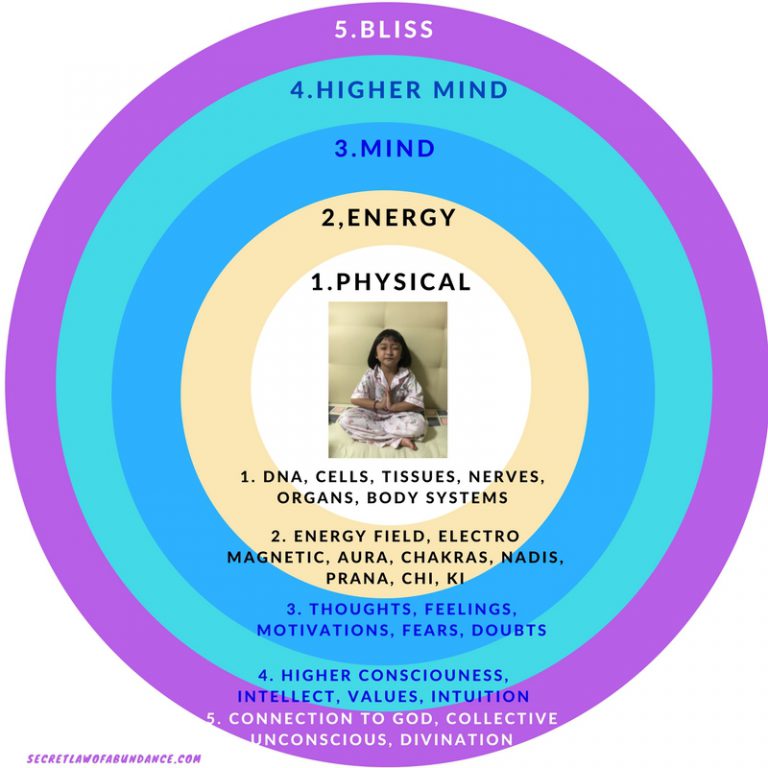 The Mind | MindConnects