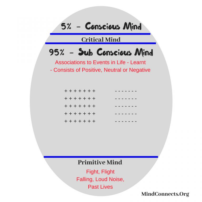 The Conscious and Subconscious Mind | MindConnects